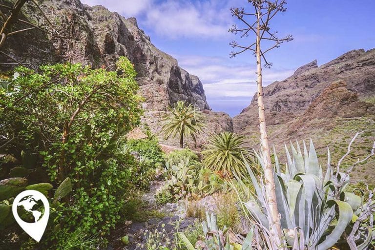 Tenerife met tieners: 5x zien en doen - kleineglobetrotter.nl