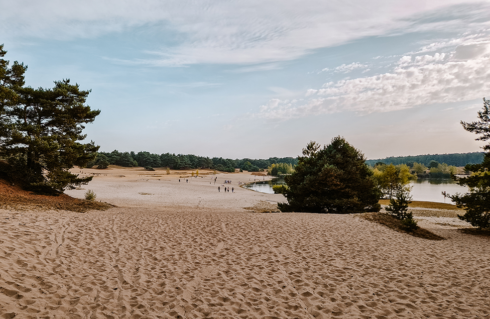 Vakantiepark getest: Center Parcs de Vossemeren in België ...